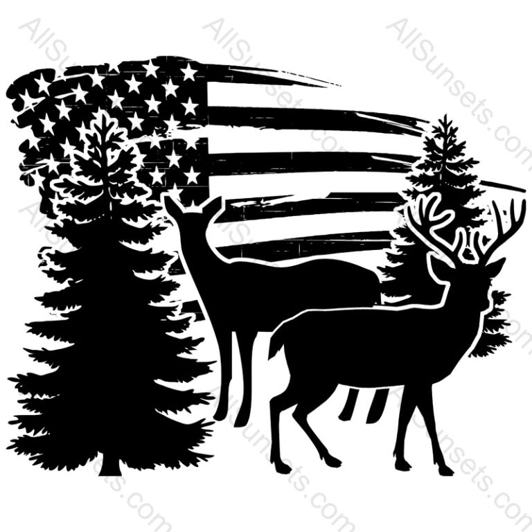 American Flag for Patriotic Tacky Party Designs - Shop AllSunsets.com