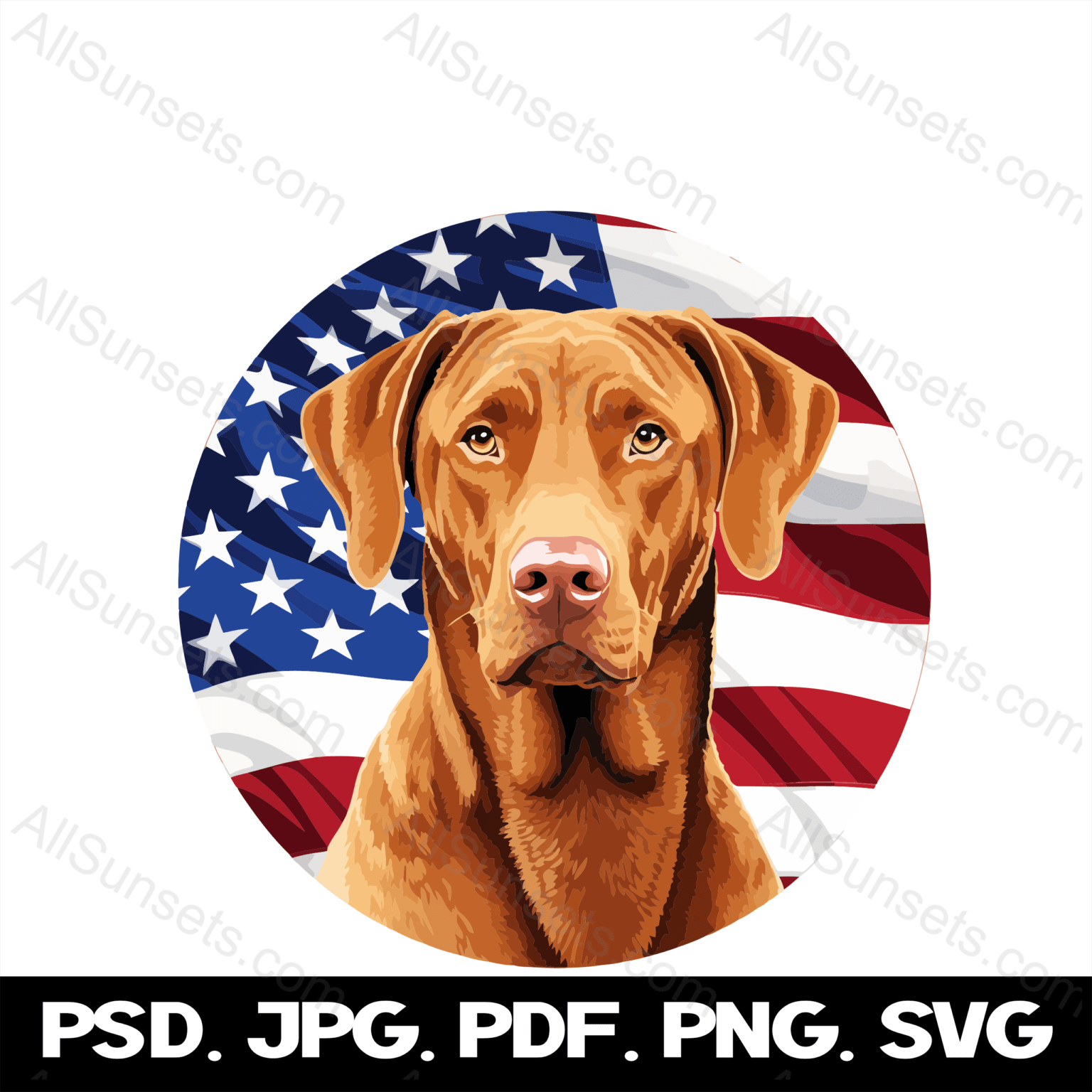 American Flag for Patriotic Tacky Party Designs - Shop AllSunsets.com